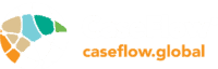 CaseFlow® - CaseFlow Features
